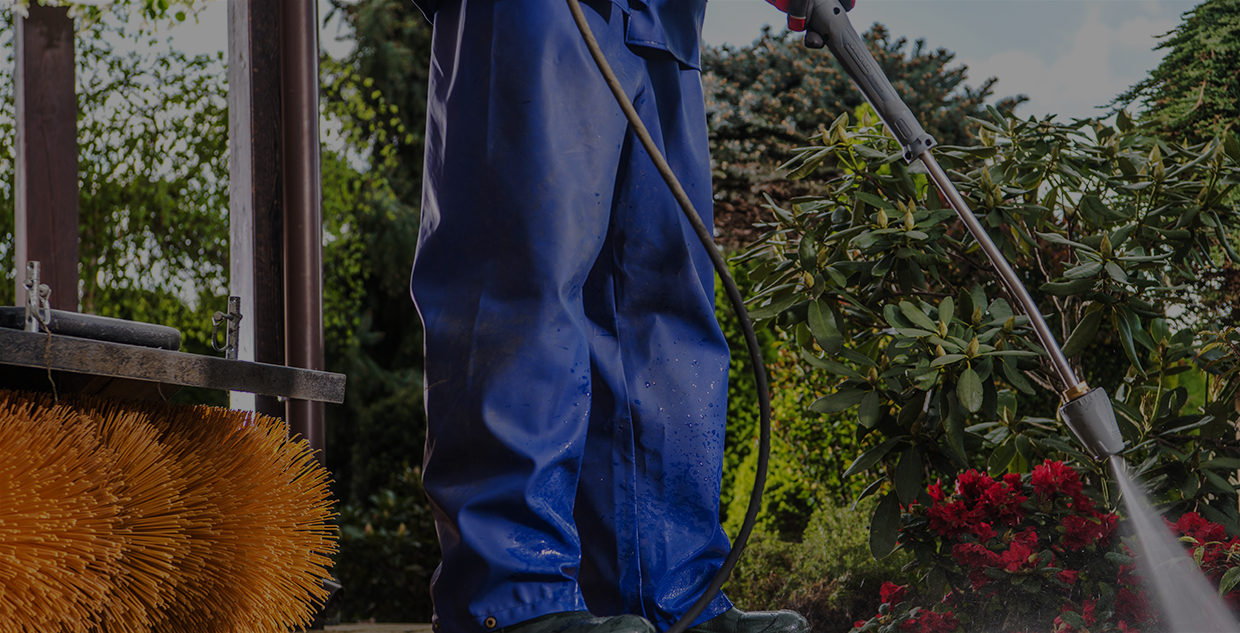 Welcome to Florida's Best Cleaner - Florida Best Cleaner